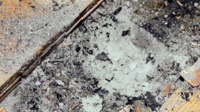 Schadstoff PAK: Vorkommen, Grenzwerte & Co.