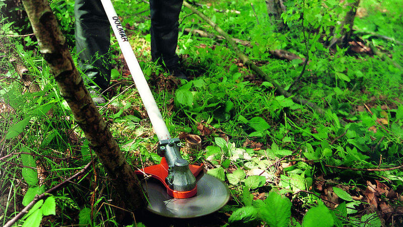 Talsohle durchschritten